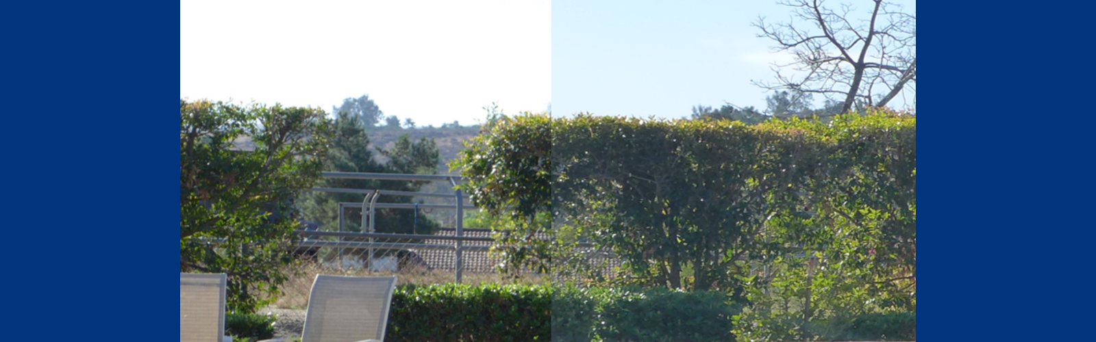 Neutral Window Film – Ideal Tint - Your DIY Window Tint